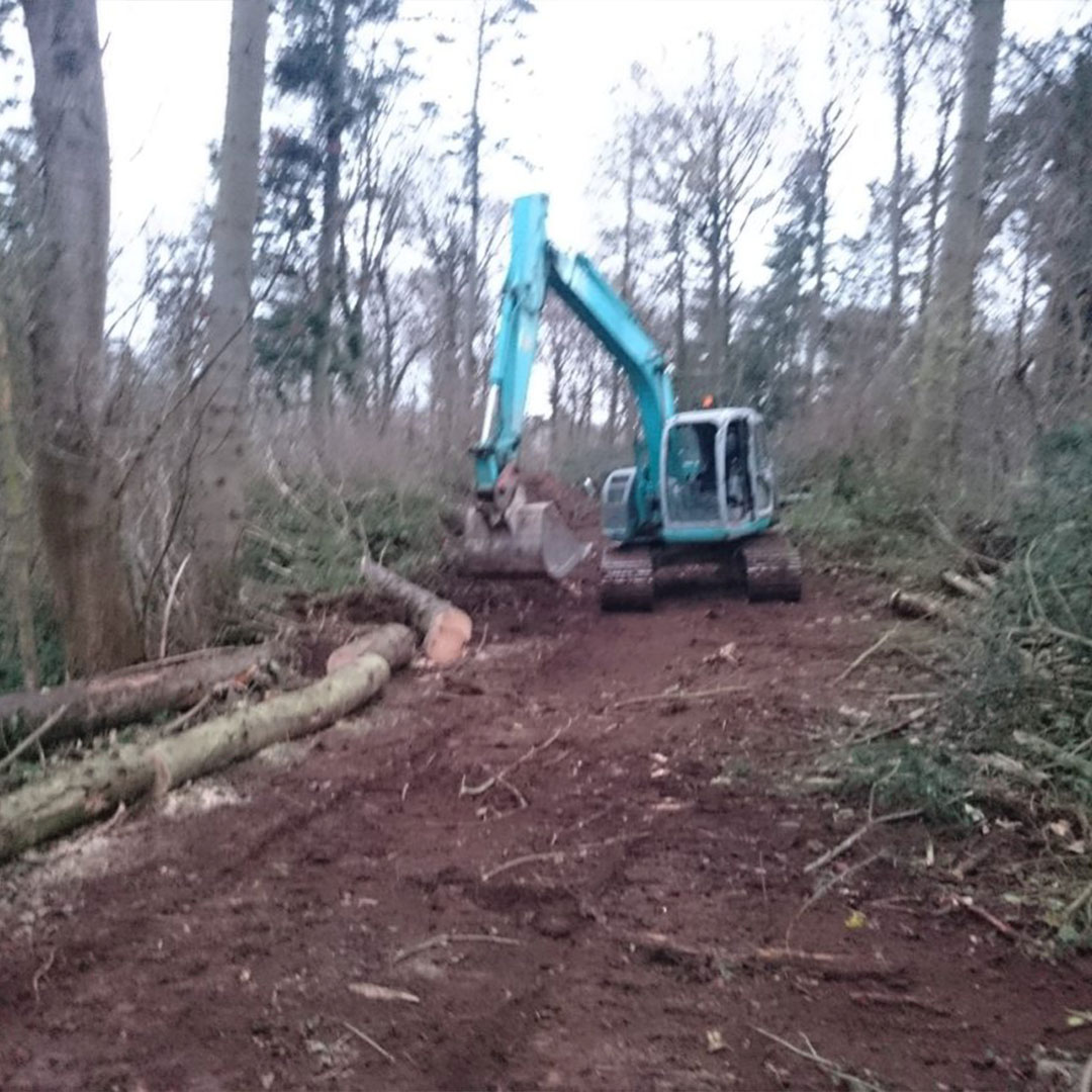 Tree Site Clearance - SA Roberts Groundwork Contractors